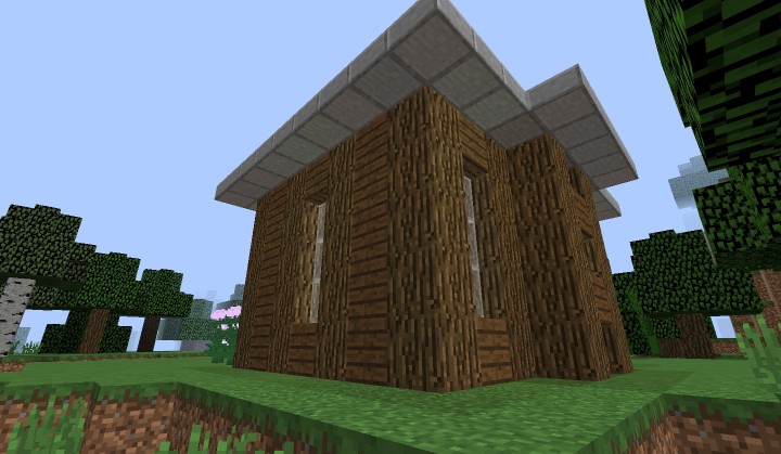 Little Town House Minecraft Map