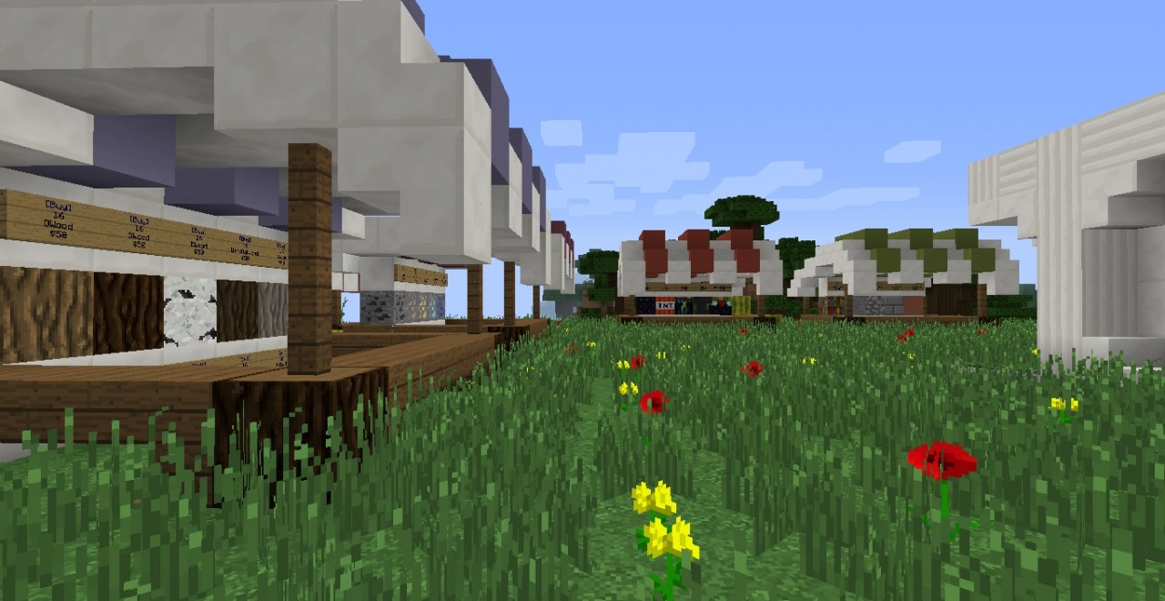 Radiant Network Minecraft Server