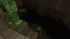 Wither Woods Minecraft Map