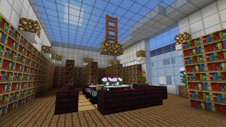 Cork City Hall Minecraft Map