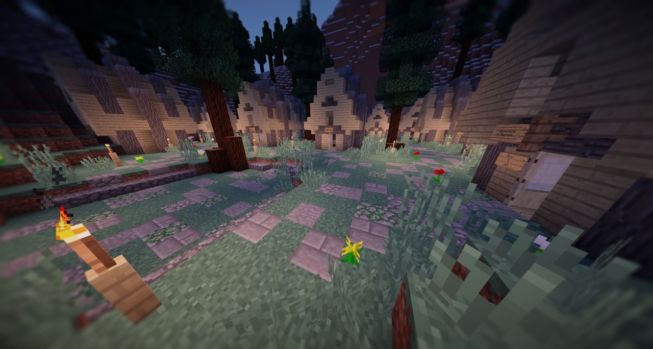 The Mega Craft Network Minecraft Server