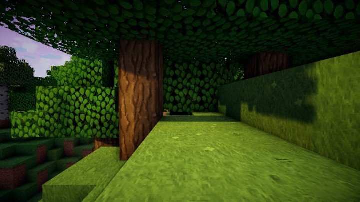 Survival World Minecraft Map