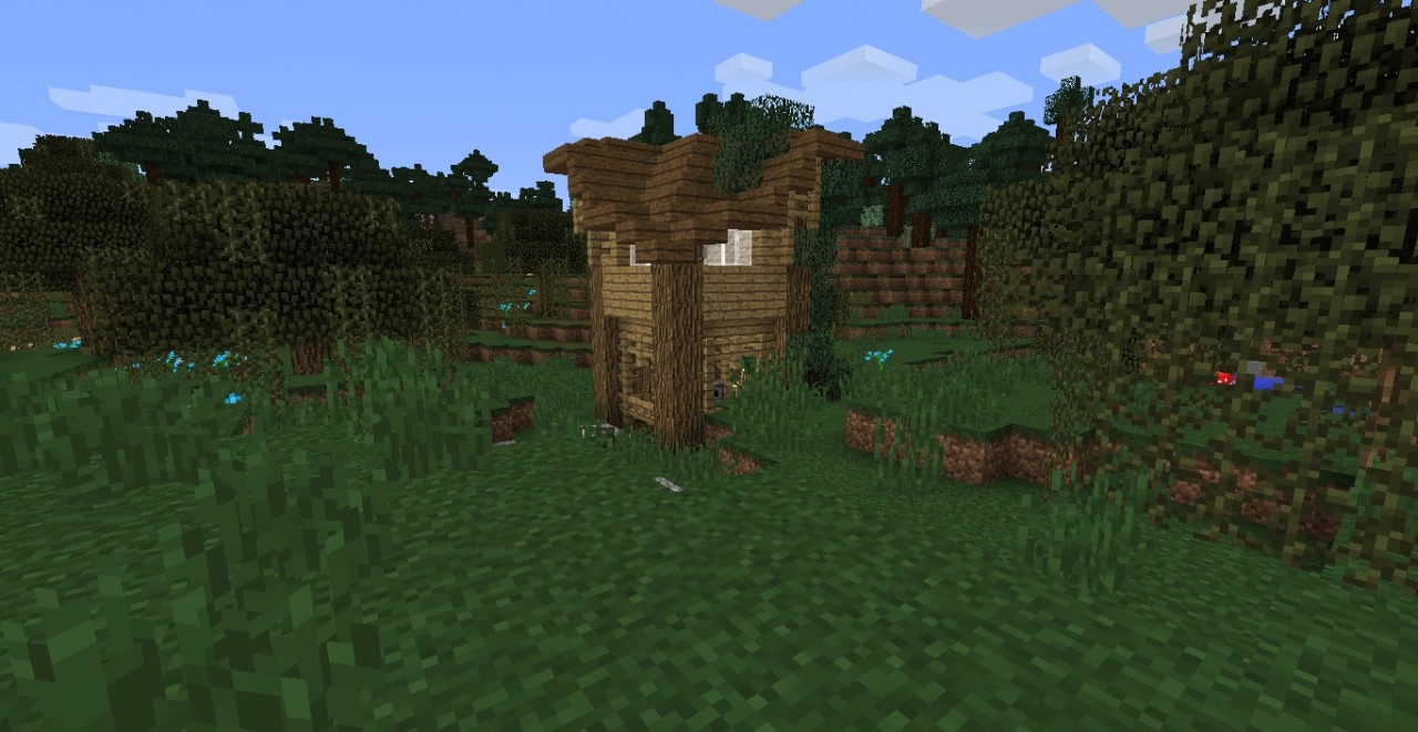 Swamp Shack Minecraft Map