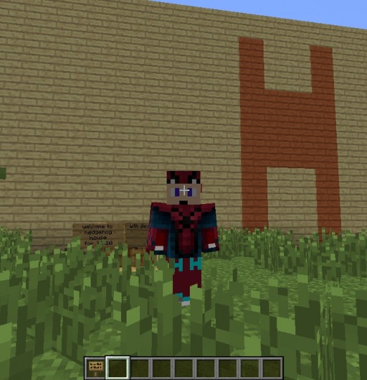 hedgehog house Minecraft Map