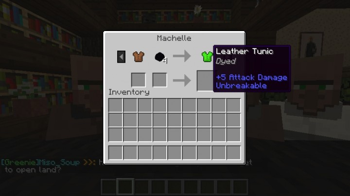 General store - Custom villagers Minecraft Map