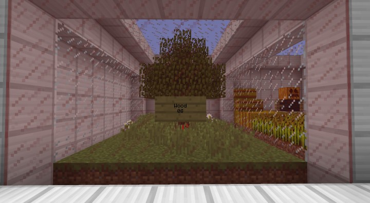 Mine - Capitalist Minecraft Map