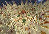 Desert spawn - Download Minecraft Map