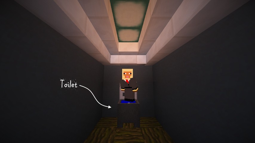 Pooping [Only One Command] Vanilla Minecraft Minecraft Map