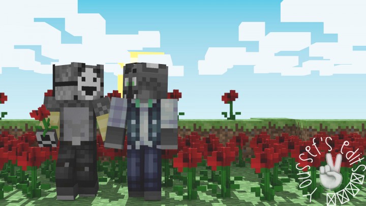 Minecraft Graphics (Re-upload)