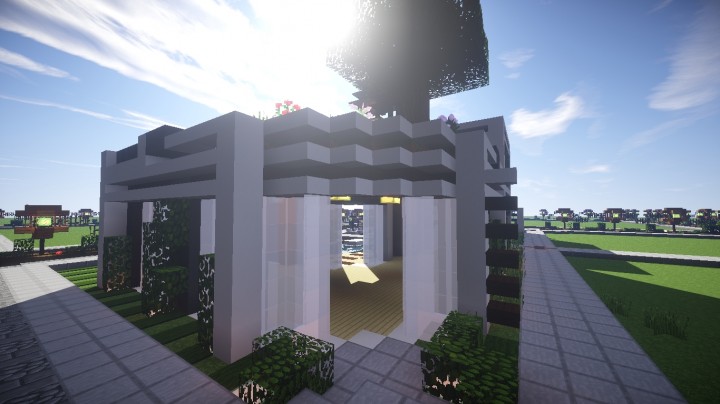 Birch Modern House Minecraft Map