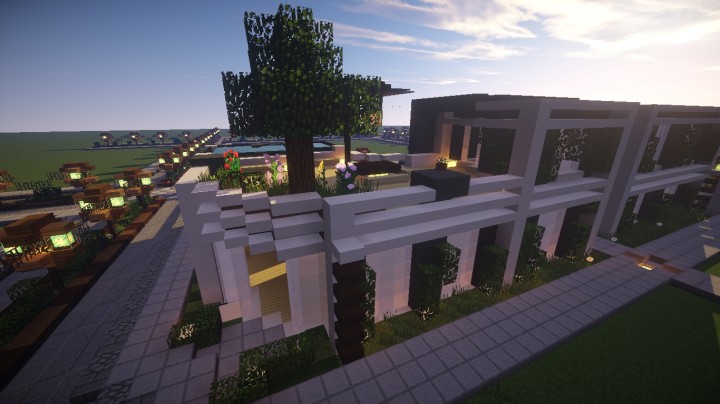 Birch Modern House Minecraft Map