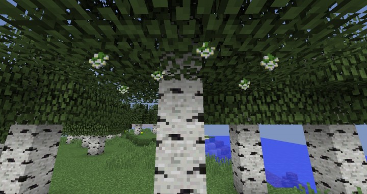 [1.8] One Command | Oranges | Orange Juicers - Orange Blossoms ...