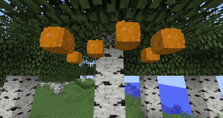 [1.8] One Command | Oranges | Orange Juicers - Orange Blossoms ...