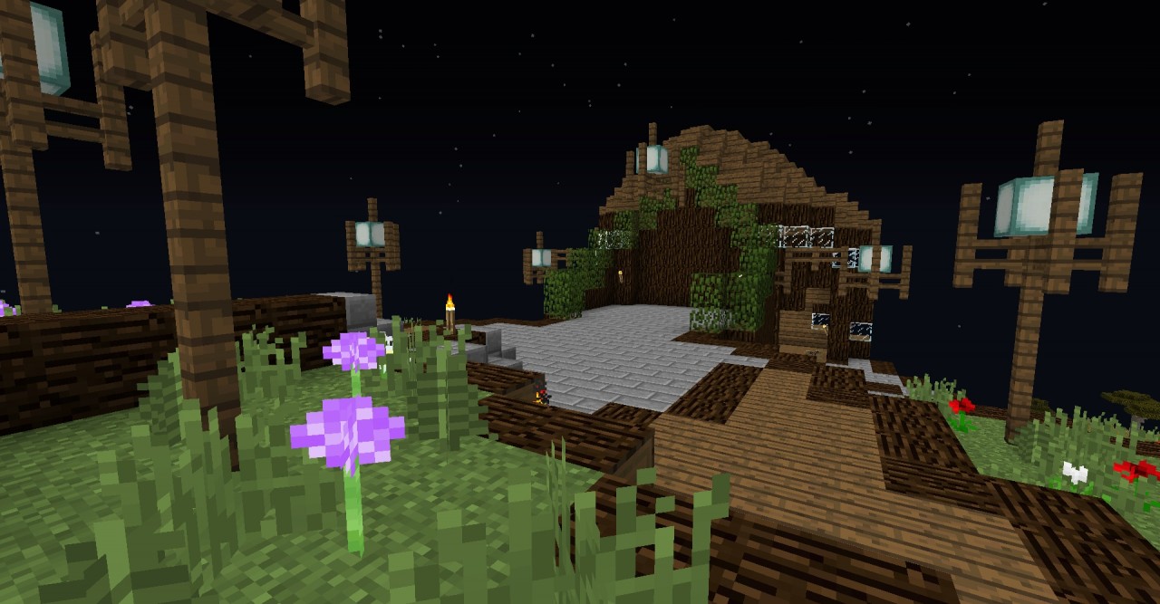 Spawn 1 Minecraft Map