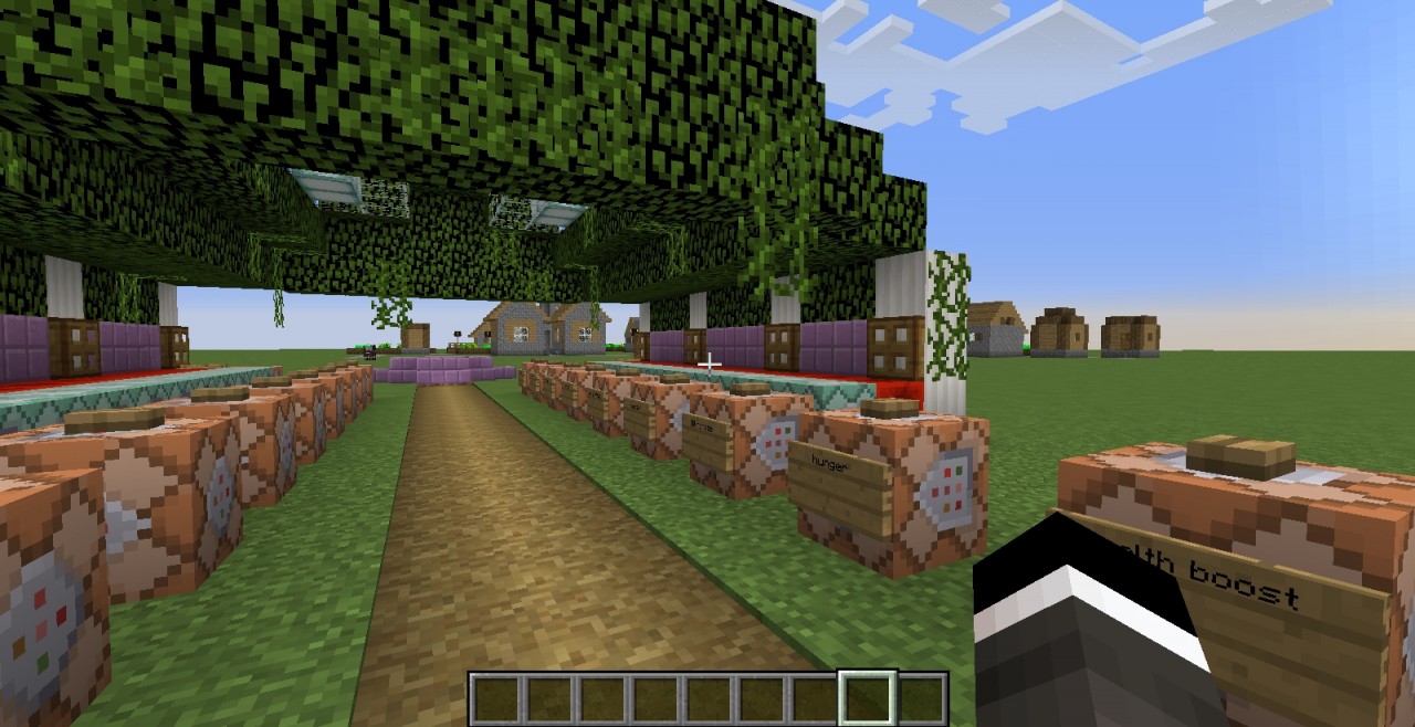 Custom Potions (Moar Potions!) Command blocks Minecraft Map