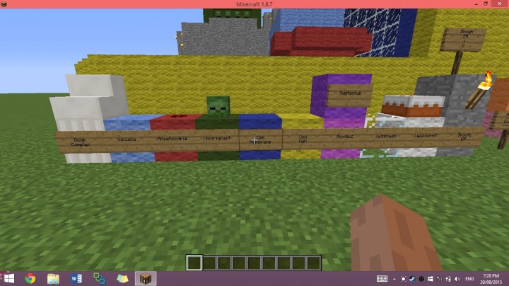 Palisade Plant Cell Model Minecraft Map