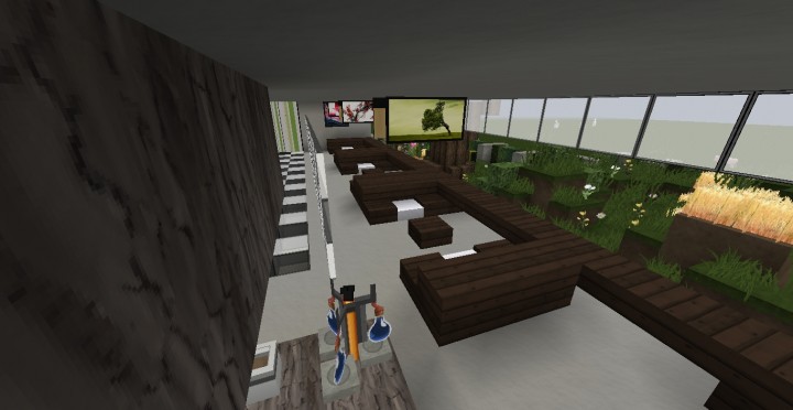 Small Modern Restaurant Minecraft Map