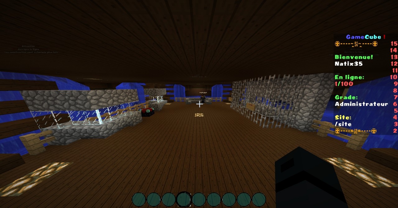 GameCube Minecraft Server