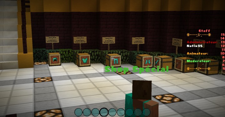 GameCube Minecraft Server