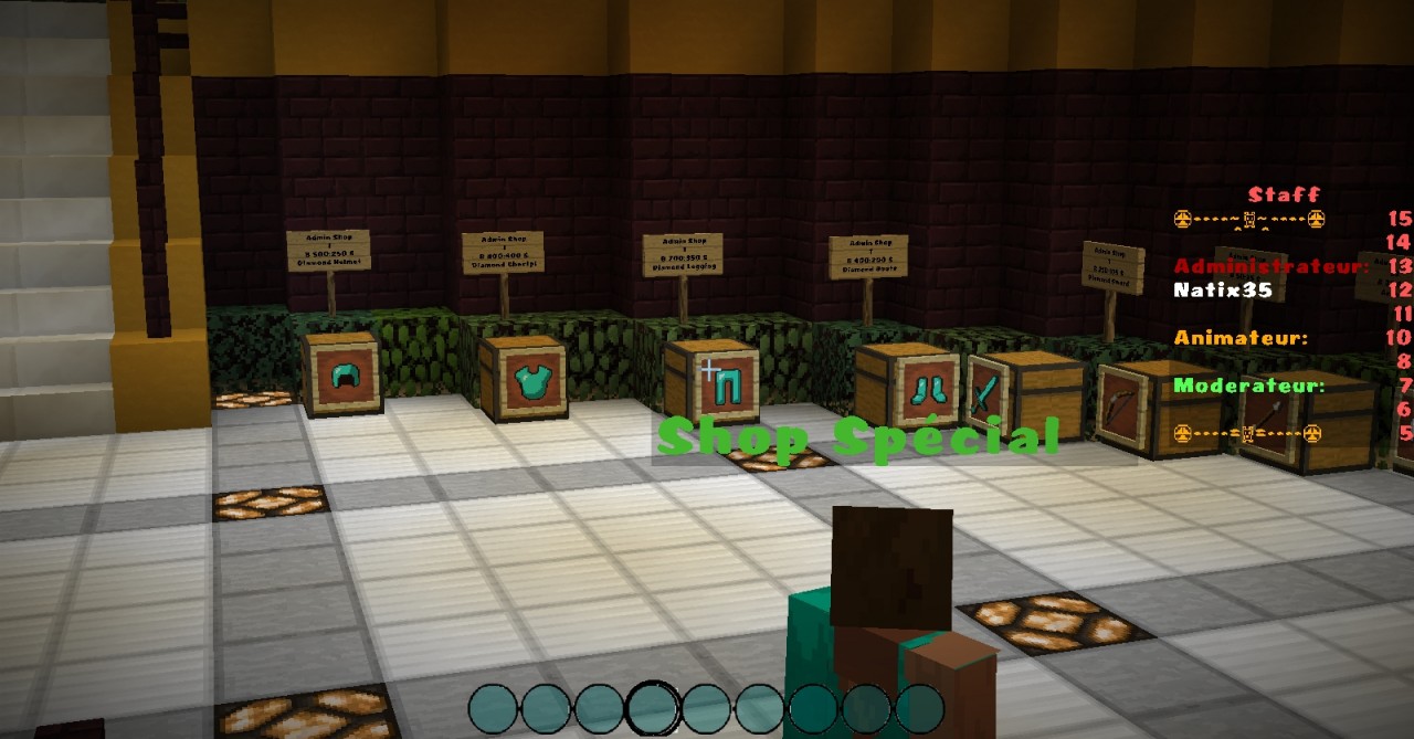 GameCube Minecraft Server