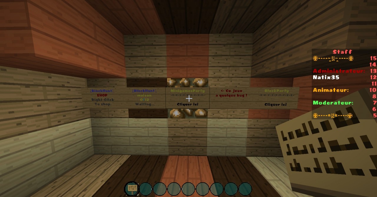 GameCube Minecraft Server