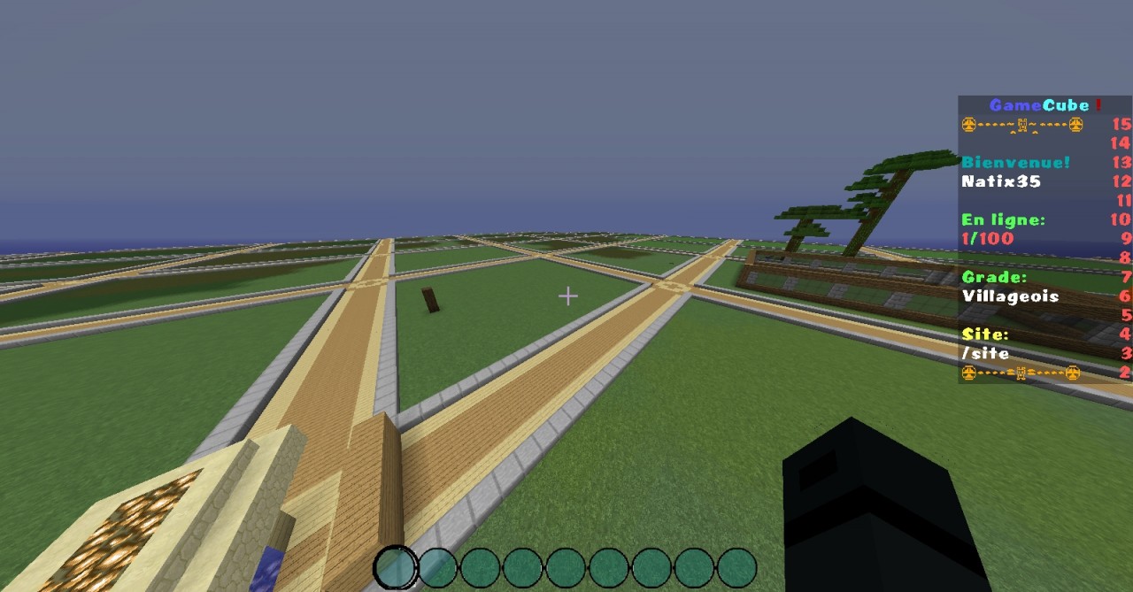 GameCube Minecraft Server