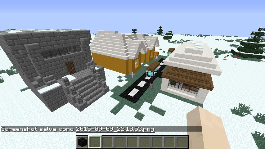 City of 3 homes Minecraft Map