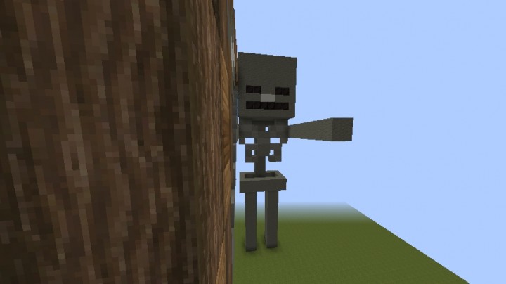 Zelmo Mini Project #3- 3D Skeleton Minecraft Map