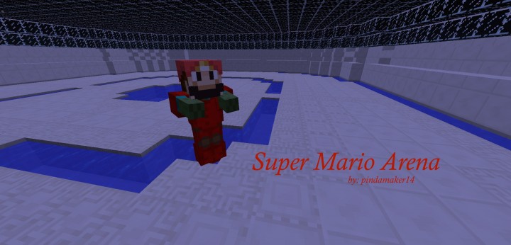 Super Mario Arena Minecraft Map