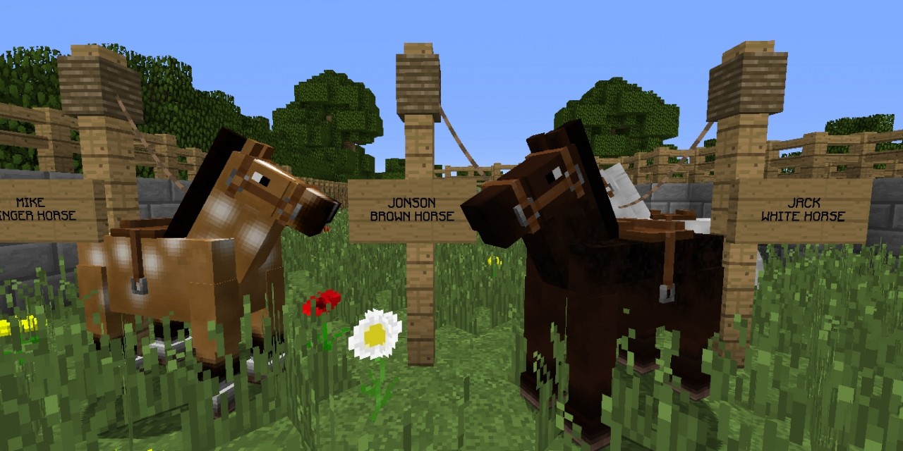HORSE RACEING Minecraft Map
