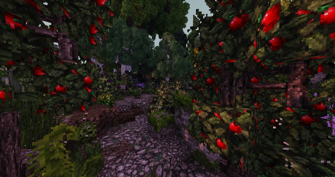 Temperate Forest (Terrain Repository) Minecraft Map