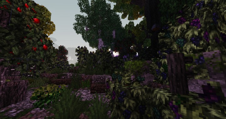 Temperate Forest (Terrain Repository) Minecraft Map