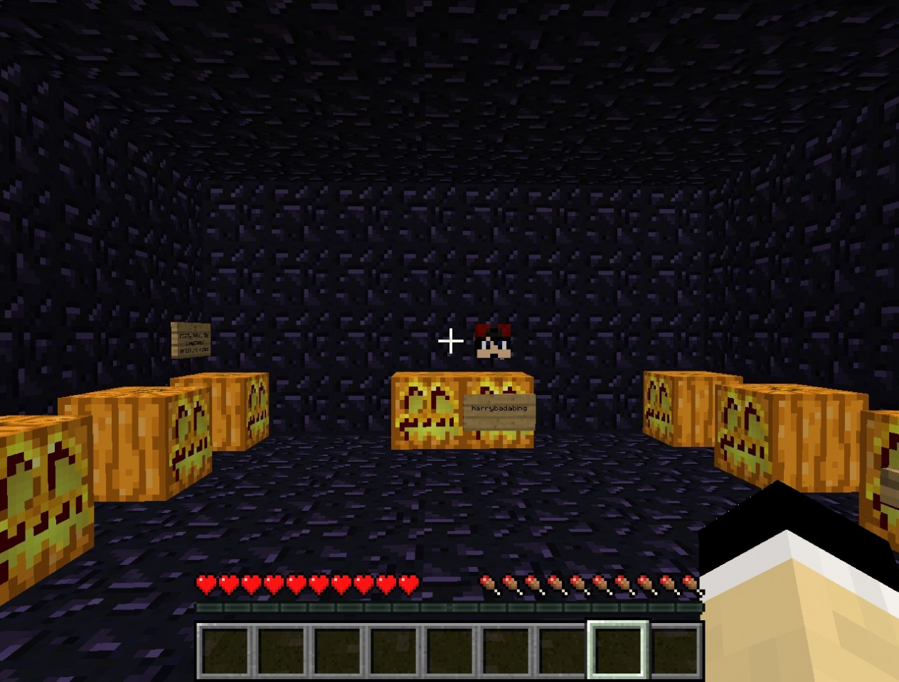 apocolypse Minecraft Map