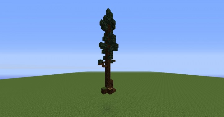 Try of a new design for a pine (let me know how you guys like it ...