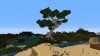 birch bonsai tree Minecraft Map
