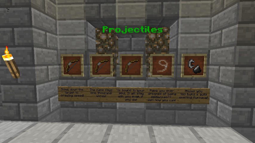 Custom Survival Minecraft Server