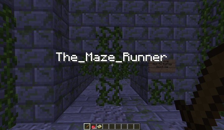 The Maze Runner Minecraft Map