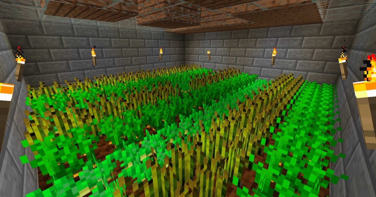 Desert oasis Minecraft Map