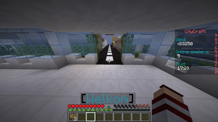 Citycraft Minecraft Server