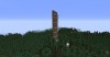 Observation tower Minecraft Map