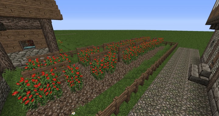 Improved Village Minecraft Map