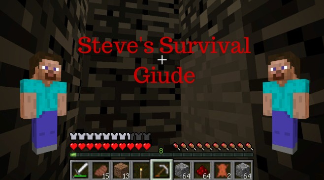 Steve's Survival Guide