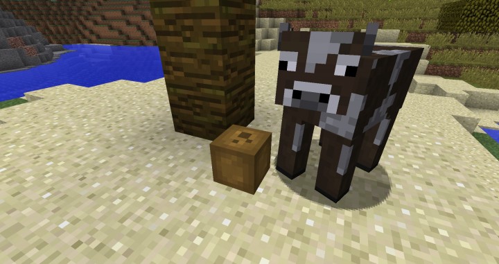 Growable Coconut Trees & Edible Coconuts | One Command Block | 1.10 ...