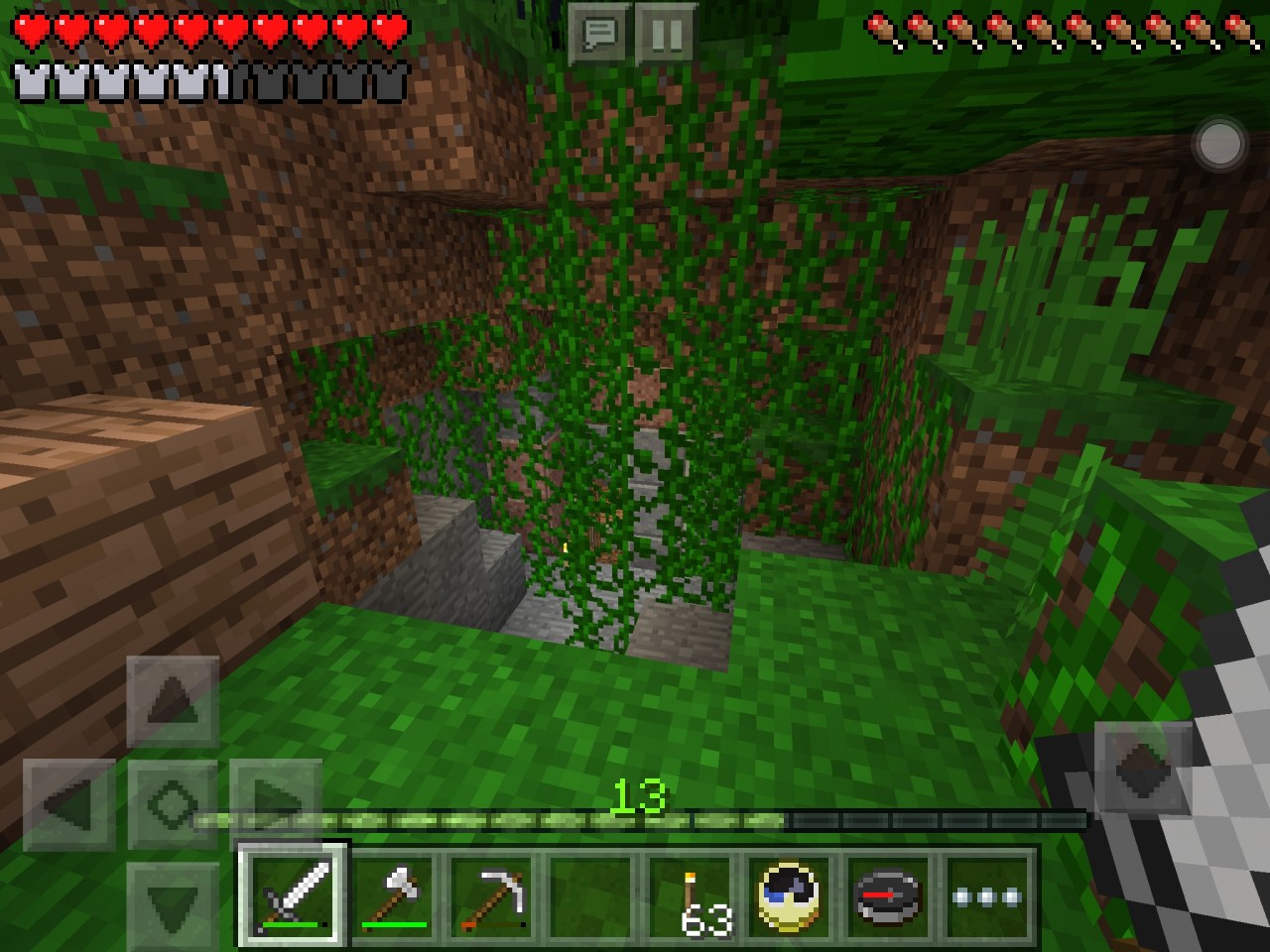 Jungle shelter Minecraft Map