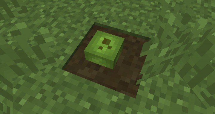 Growable Coconut Trees & Edible Coconuts | One Command Block | 1.10 ...