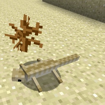 Animals Plus ★ v1.8 - Kiwis, camels and more! 🐫 🐢 (Updated 5/8/2016 ...