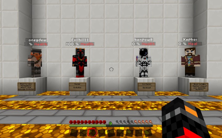 A Great Survival Surver Minecraft Server