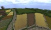Old Dutch Polders and Countryside Minecraft Map