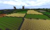 Old Dutch Polders and Countryside Minecraft Map