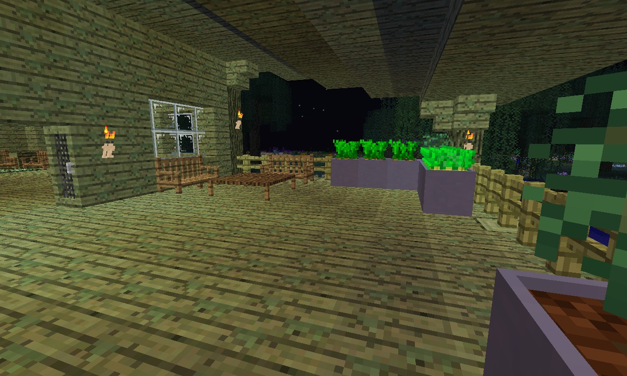 Willow House Minecraft Map